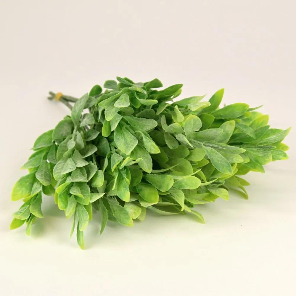 Buxus zelený 2-3ks/25cm