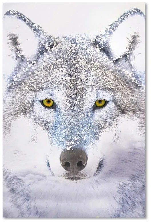 Gario Obraz na plátně Bílý vlk ve sněhu Rozměry: 40 x 60 cm