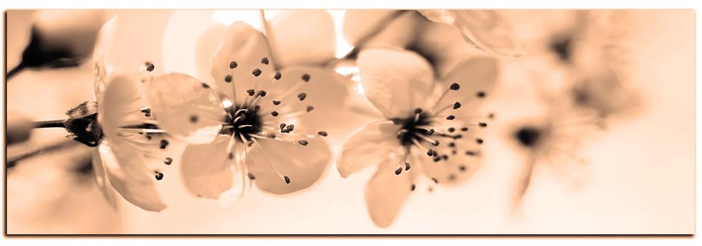 Obraz na plátně - Malé květy na větvi - panoráma 5173FA (105x35 cm)