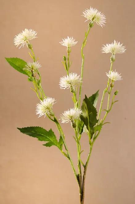 Paramit SWEET DAISY Aranžovací květina bílá 54 cm