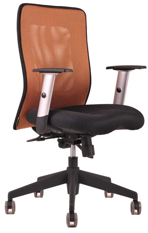 Kancelářská židle na kolečkách Office Pro CALYPSO - s područkami Hnědá 1611