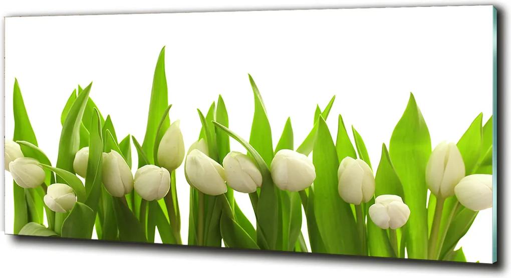 Foto obraz sklo tvrzené Bílé tulipány