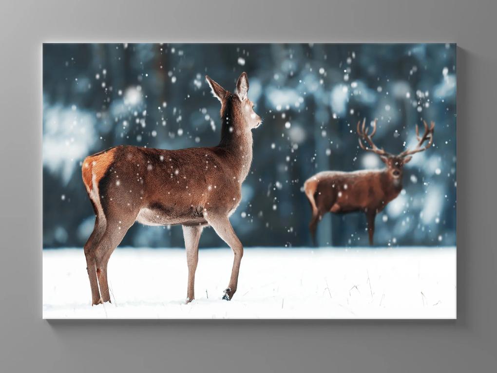Liox Obraz srna a jelen v zimní krajině Rozměr: 90 x 60 cm