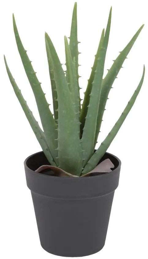 Umělá květina Kave Home Aloe Vera