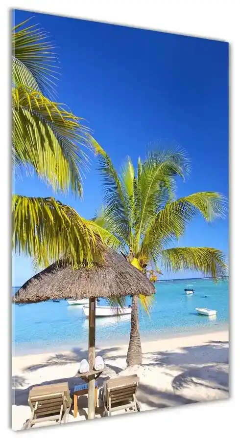 Wallmuralia Vertikální Foto obraz skleněný svislý Tropická pláž 50x100 |  BIANO