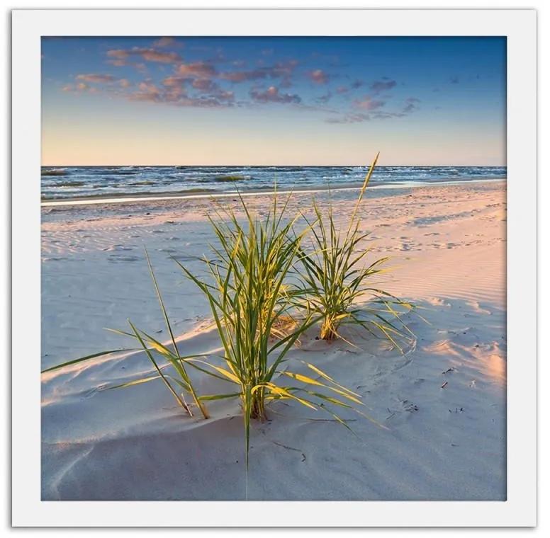 CARO Obraz v rámu - Green Grass On The Beach 2 20x20 cm Bílá