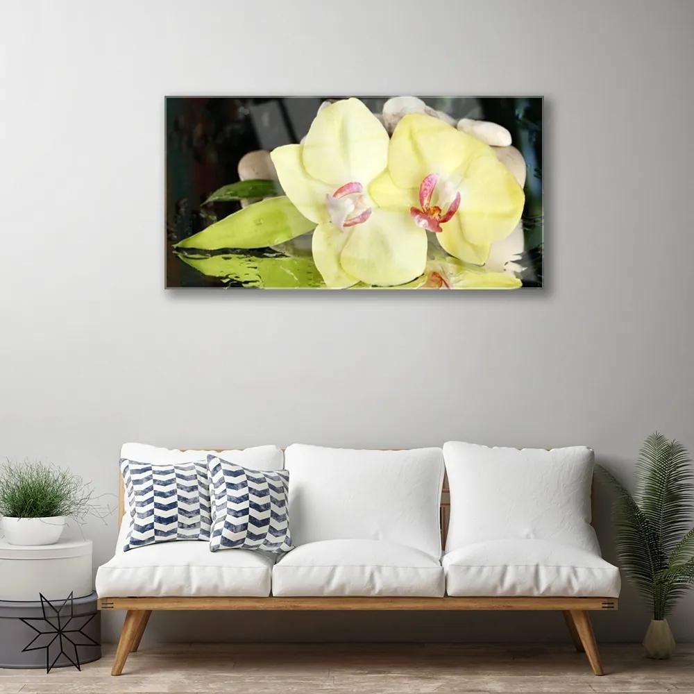 Obraz na skle Okvětní Plátky Orchidej 120x60 cm