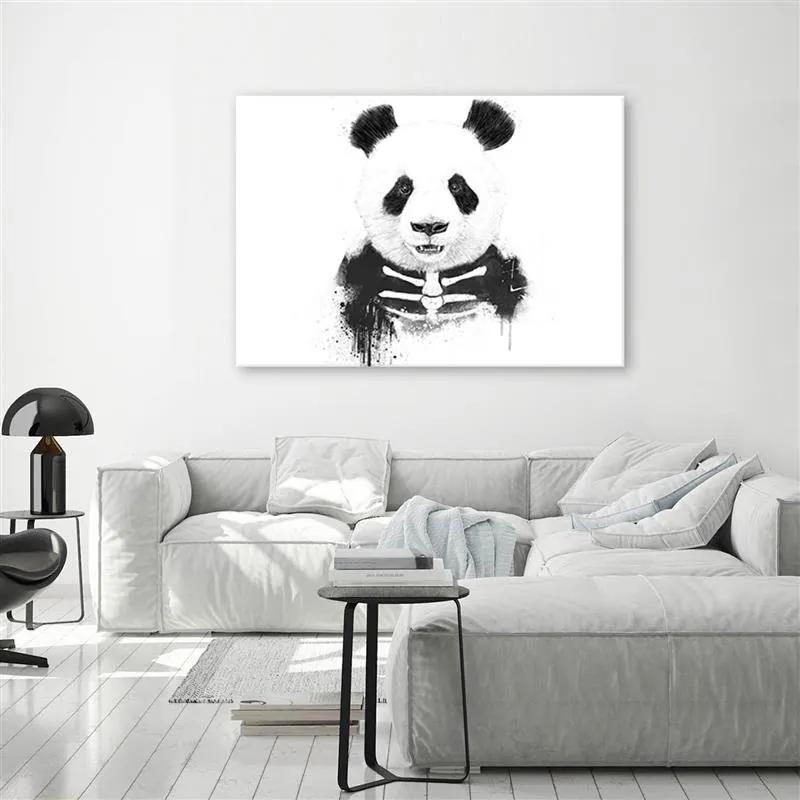 Gario Obraz na plátně Kostra medvěda pandy - Rykker Rozměry: 60 x 40 cm