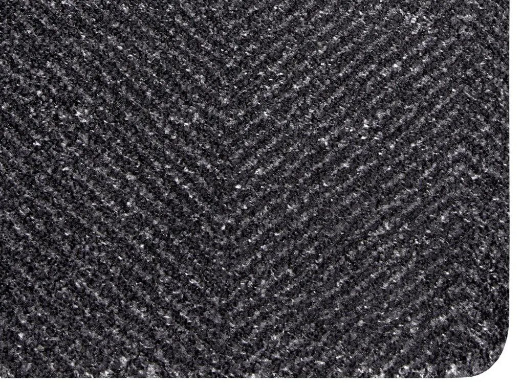 Hanse Home Collection koberce Rohožka Clean & Go 105350 Black Anthracite ROZMĚR: 45x67