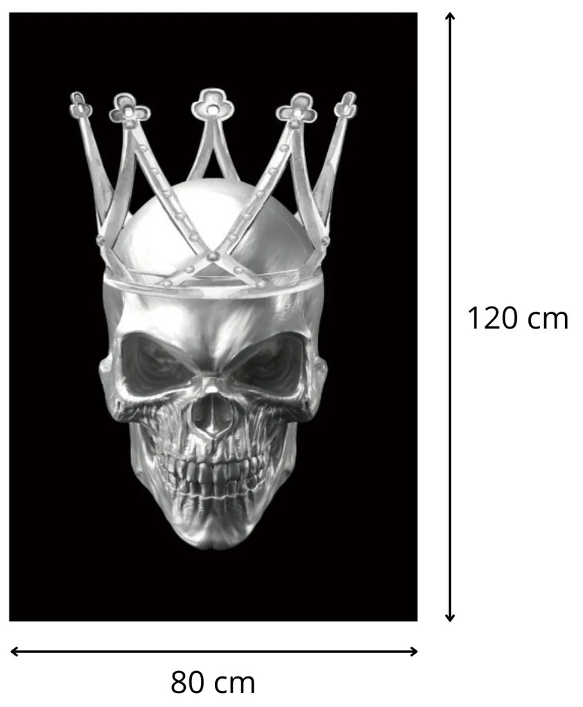 Obraz Skull 80x120 černý/stříbrný
