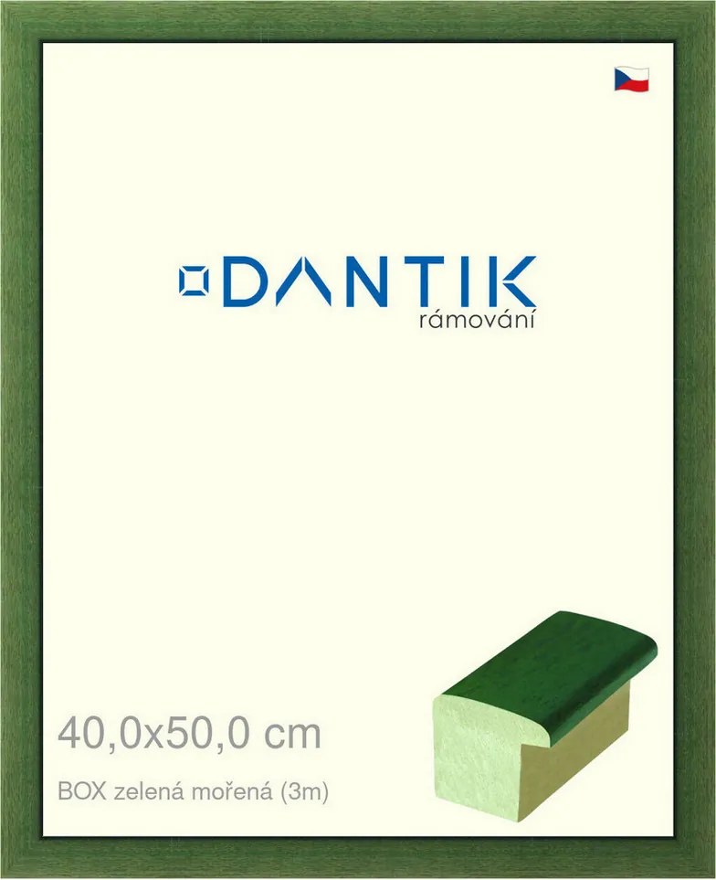 DANTIK rámeček 40x50 | BOXzelená mořená (Sklo Čiré)