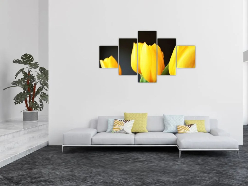 Obraz tulipánů (125x70 cm)