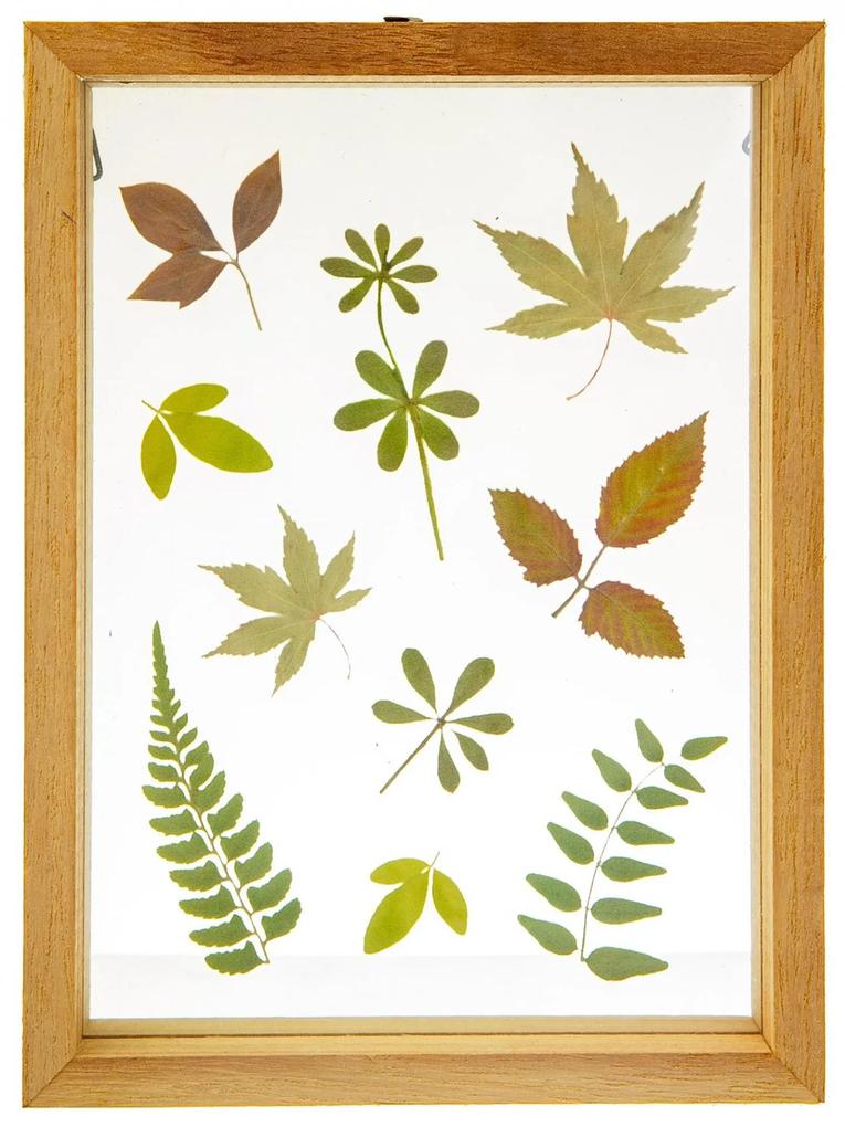 sass & belle Dřevěný rámeček Herbarium Floating Leaves, přírodní barva, sklo, dřevo
