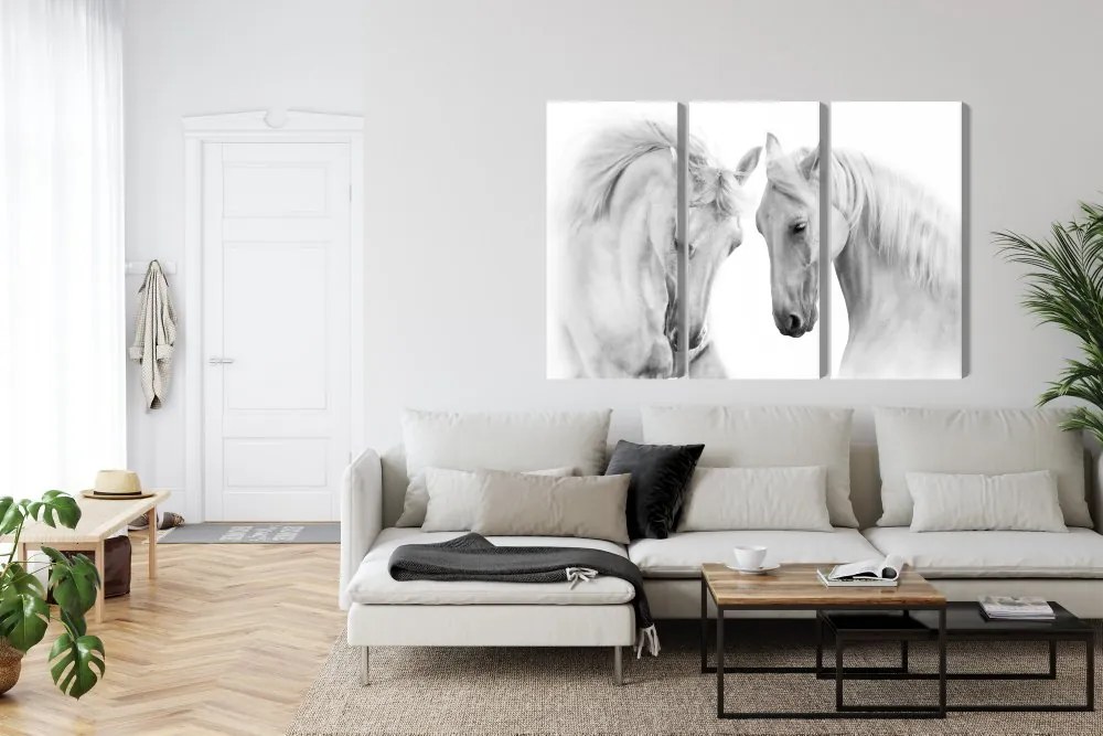 Vícedílný obraz Dva Koně Na Bílém Pozadí Nedostatek Nedostatek Přírodní plátno 120x80