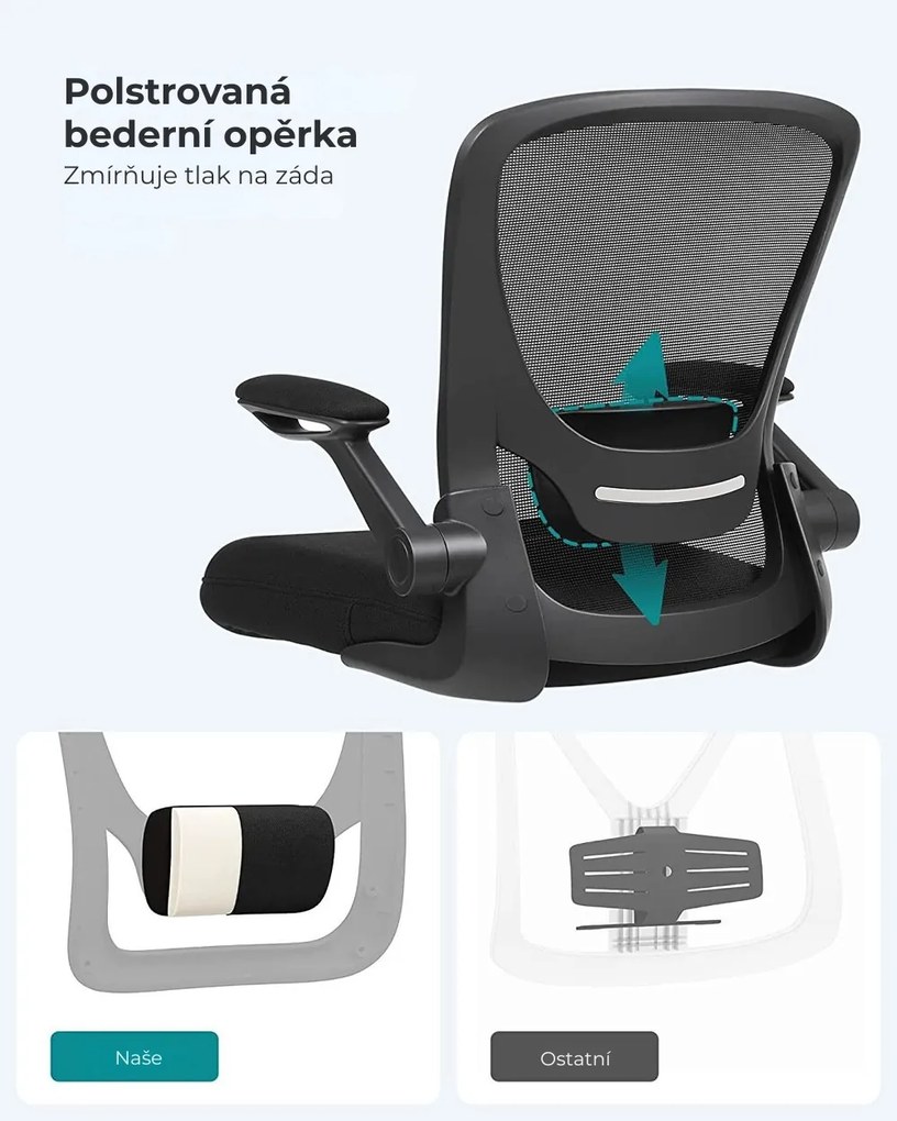 Kancelářská židle ERGO se sklopnými područkami, max. 120 kg, černá SongmicsHome