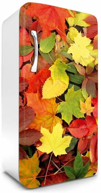 Fototapeta na lednici Colorful Leaves 65 x 120 cm FR120-025