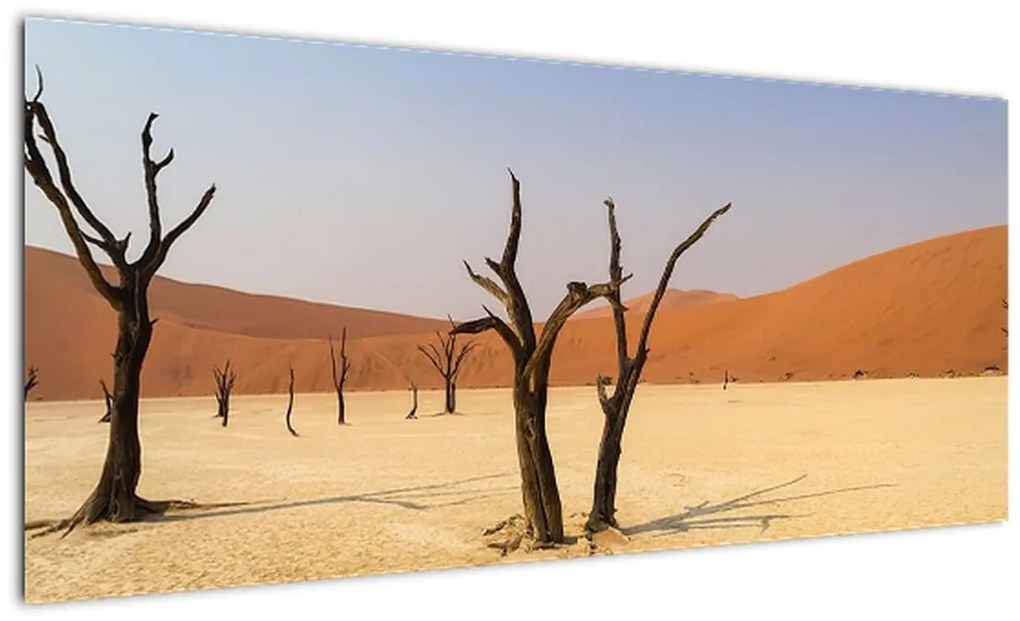 Obraz pouště (100x40cm)