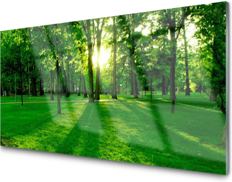 Obraz na skle Skleněný Les Příroda