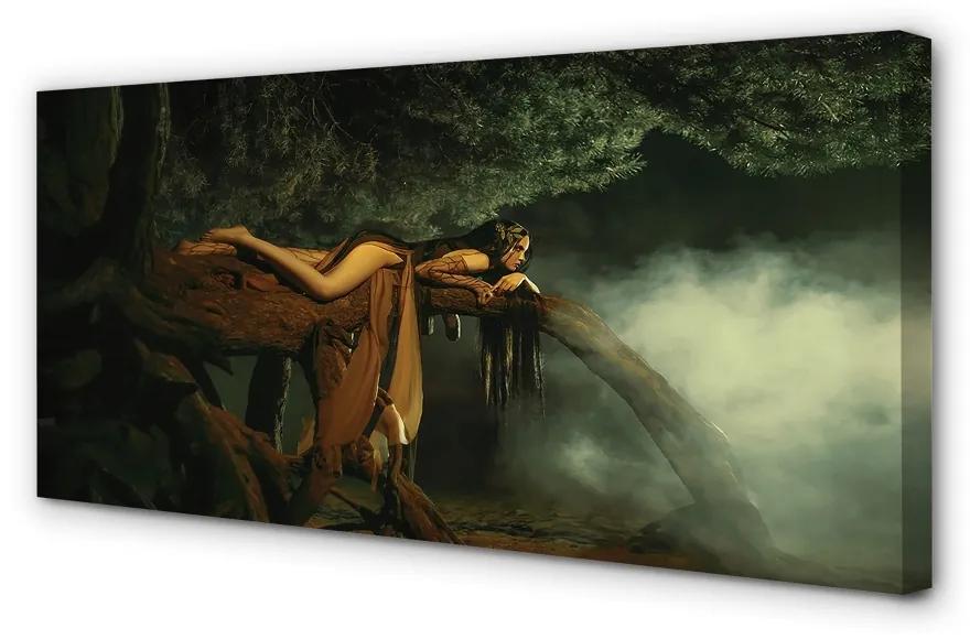 Obrazy na plátně Žena strom mraky 100x50 cm