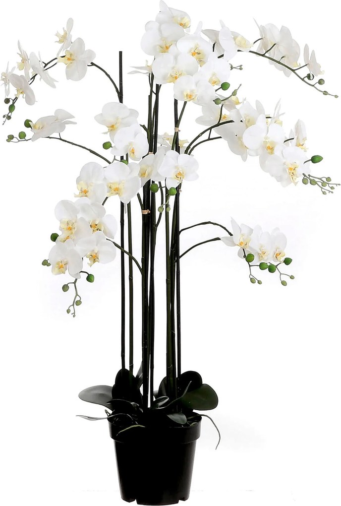 XXXLutz ORCHIDEJ 117 cm - Umělé květiny - 004536028901