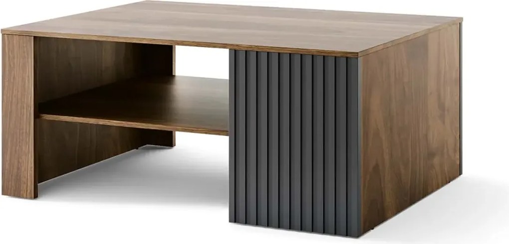 Konferenční stolek Radium 41 120 cm ořech Columbia/černý
