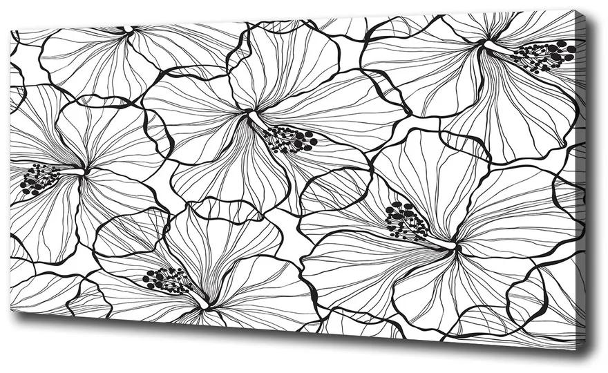 Wallmuralia Foto obraz na plátně Havajské květiny 100x50 cm