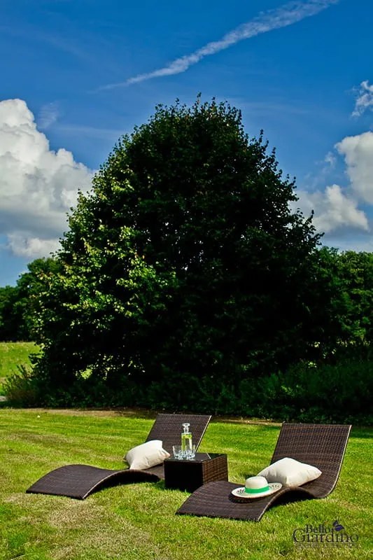 Sada zahradního nábytku Successo tmavě hnědá