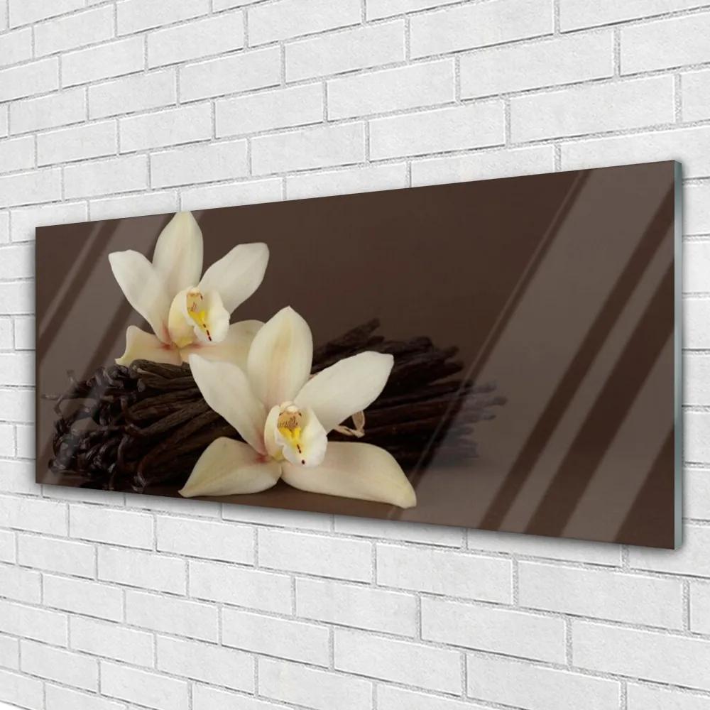 Plexisklo-obraz Květy Vanilky do Kuchyně 125x50 cm