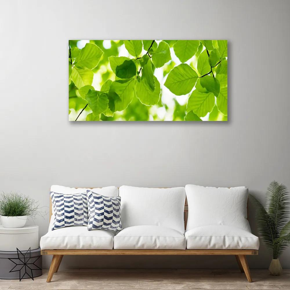 Obraz na plátně Listy Příroda Rostlina 120x60 cm