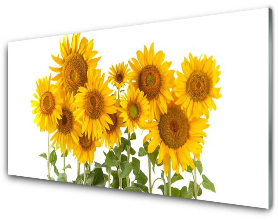 akrylový obraz Slunečnice 140x70 cm