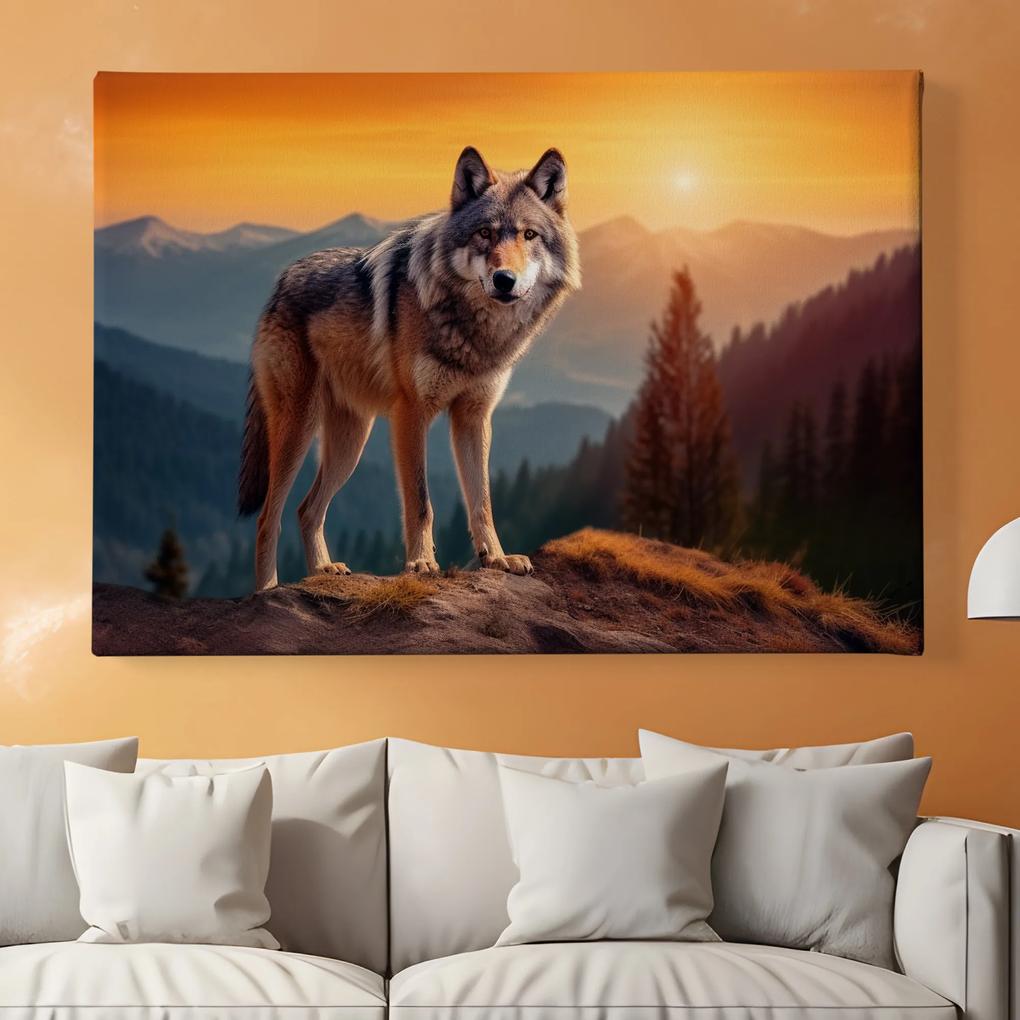 Obraz na plátně - Vlk chytá poslední paprsky slunce FeelHappy.cz Velikost obrazu: 180 x 120 cm