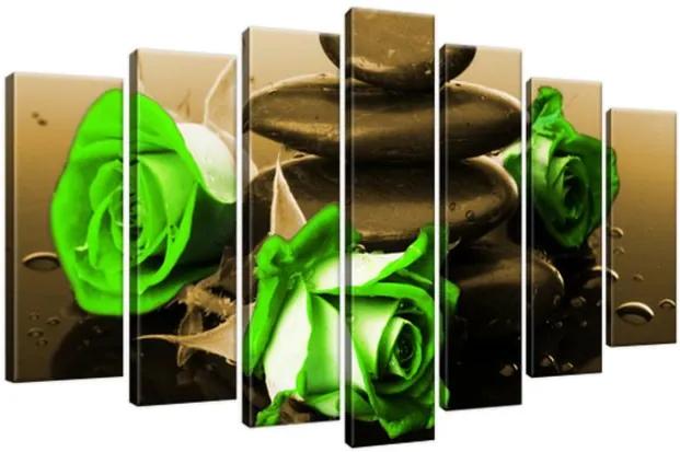 Obraz na plátně Zelené růže a kameny 140x80cm 1423A_7B