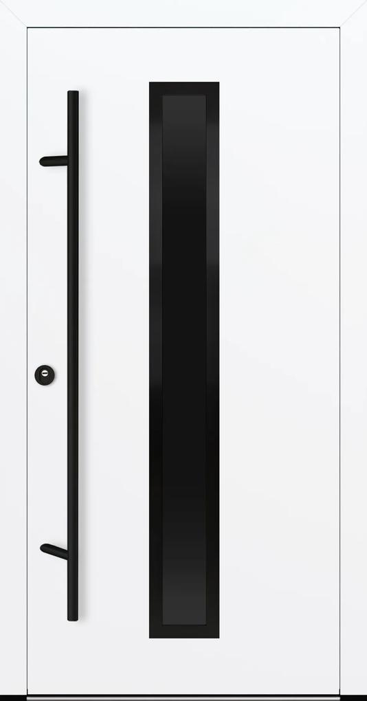 FM Turen - Feldmann & Mayer Vchodové dveře s ocelovým opláštěním FM Turen model DS21 blackline Orientace dveří: Levé, otevírání dovnitř, Dekor: Winchester, Standardní rozměr dveří včetně rámu: 100 cm x 210 cm - vnější rozměr rámu