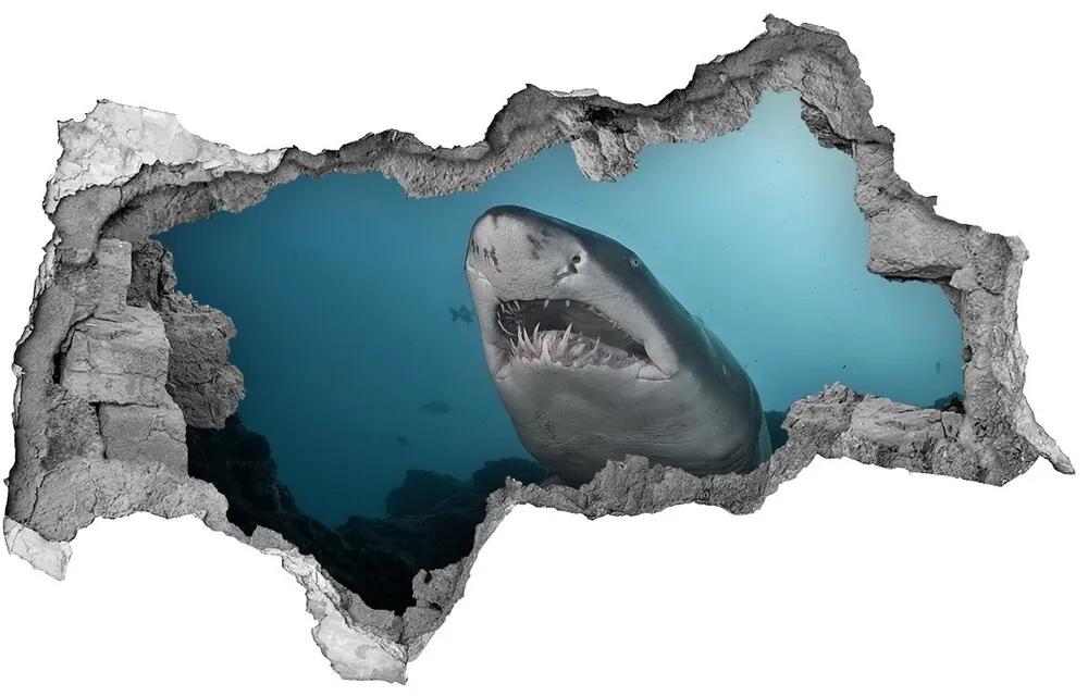 Wallmuralia Díra 3D fototapeta nálepka Velký žralok 95x73 cm