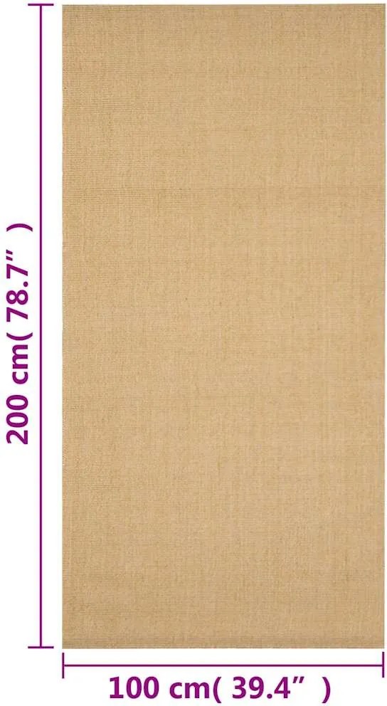 Koberec přírodní sisal 100 x 200 cm 136312
