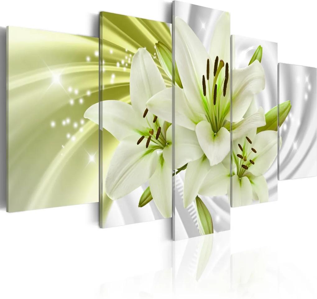Obraz zelená lilie + háčky a hřebíčky ZDARMA Velikost (šířka x výška): 200x100 cm