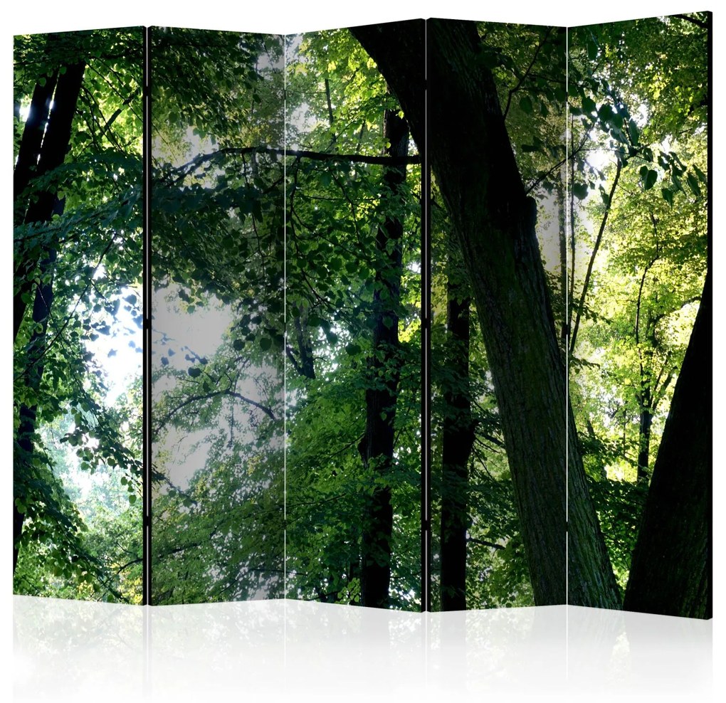 Paraván - Spring in the Park II [Room Dividers] 225x172