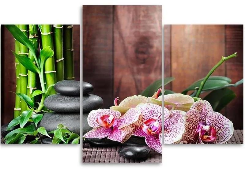 Gario Obraz na plátně Orchidej, bambus a kameny - 3 dílný Rozměry: 60 x 40 cm