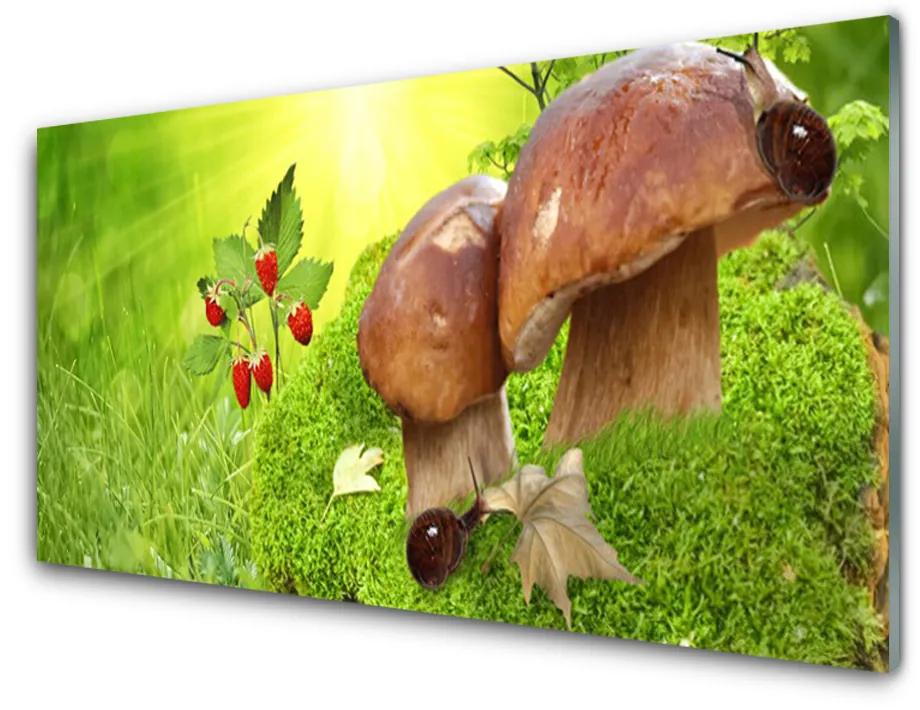 akrylový obraz Houby Divoké Jahody 120x60 cm