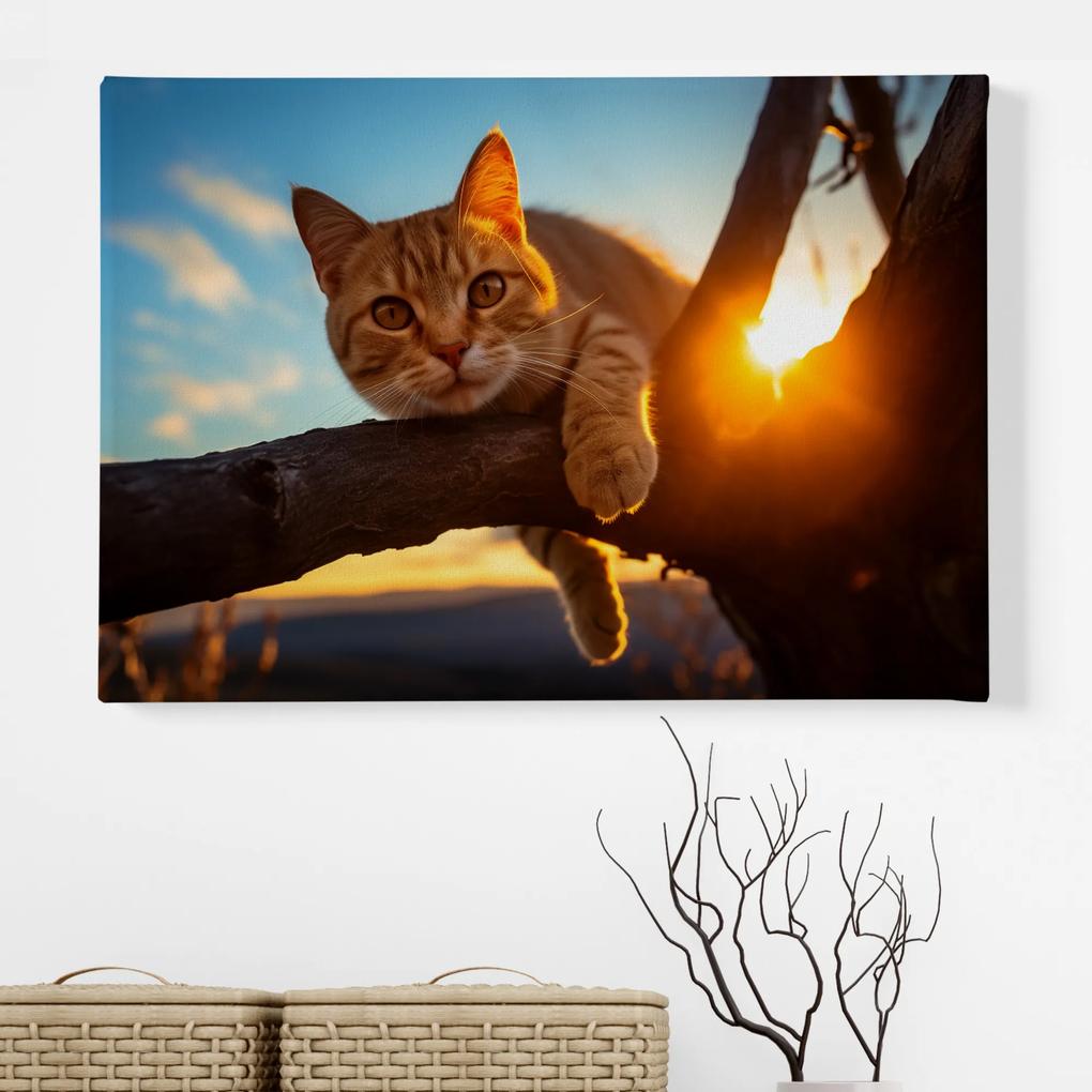 Obraz na plátně - Kočka na větvi při západu slunce FeelHappy.cz Velikost obrazu: 180 x 120 cm