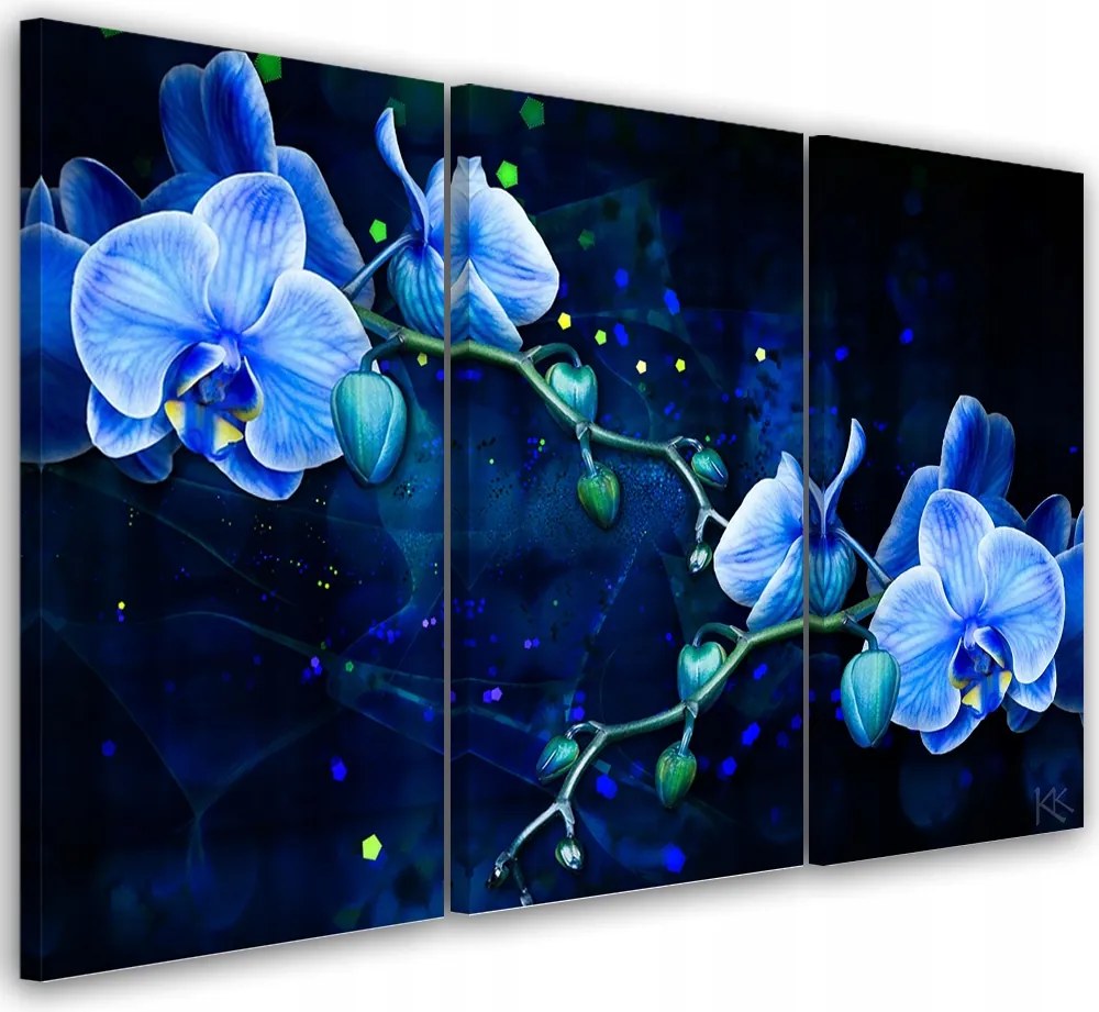 Obraz triptych na plátně, Modrý květ orchideje 60x40