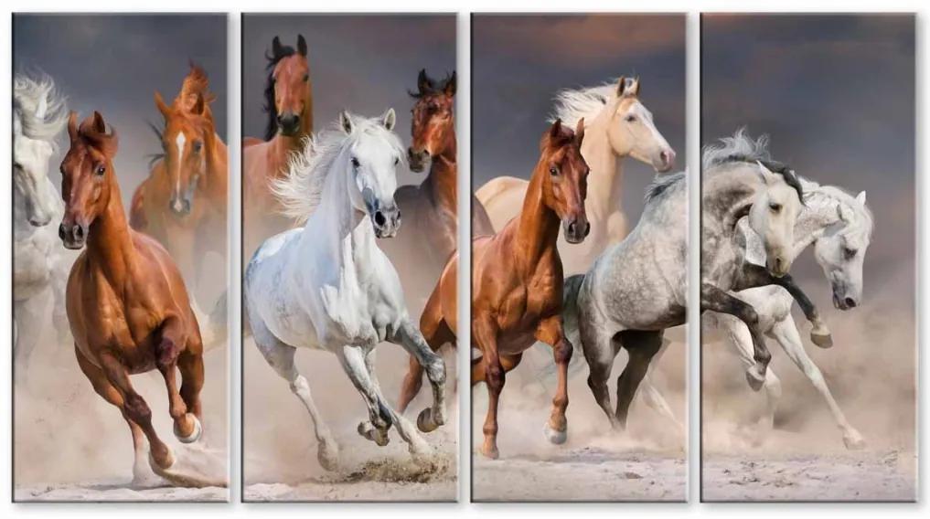 Malvis ® Vícedílný obraz Krása koní Velikost: 160x90 cm