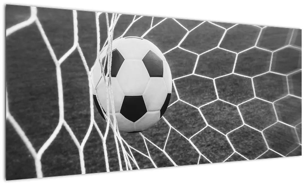 Fotbalový míč v síti - obraz (100x40cm)