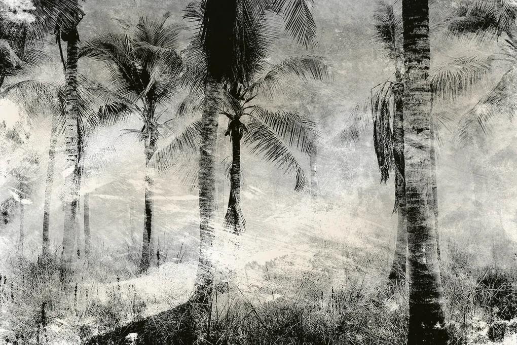 DIMEX | Samolepicí vliesová fototapeta na zeď Abstrakt palmy MA-5-0374 | 375 x 250 cm | bílá, černá