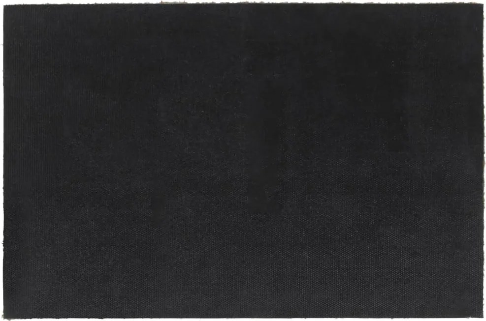 Rohožka před dveře přírodní 40 x 60 cm kokosové vlákno 155620