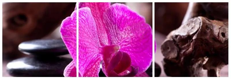 Obraz fialového květu  (90x30 cm), 40 dalších rozměrů
