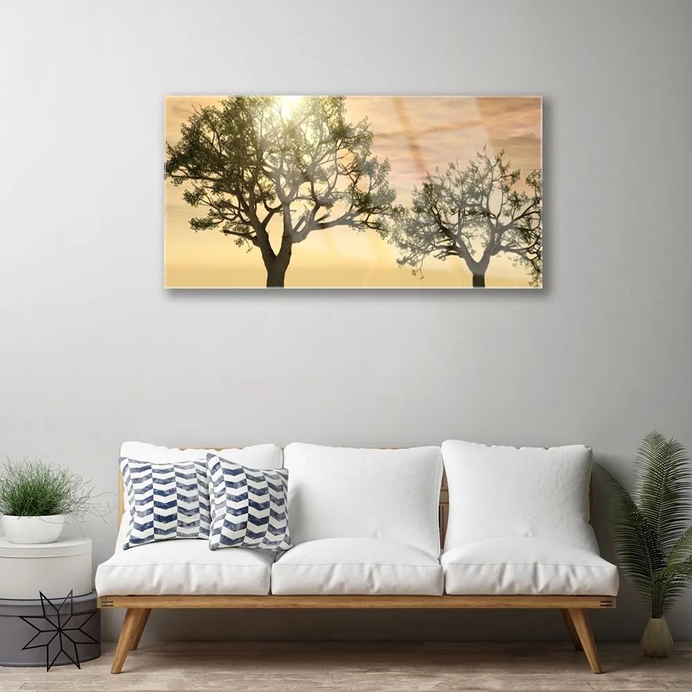 Obraz na skle Stromy Příroda 100x50 cm