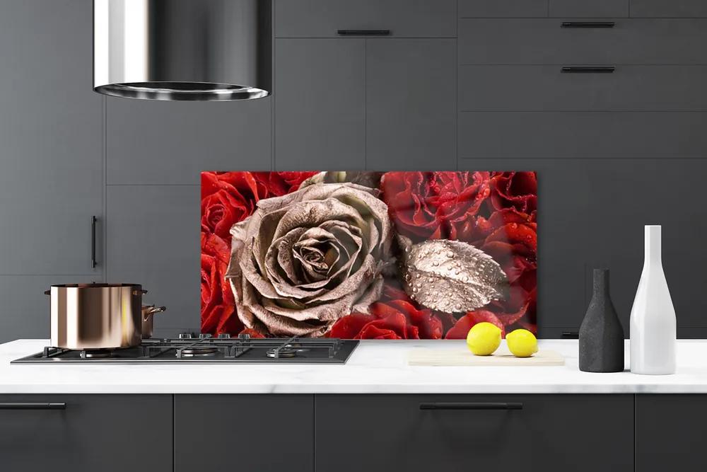 Kuchyňský skleněný panel Růže Květiny 100x50 cm