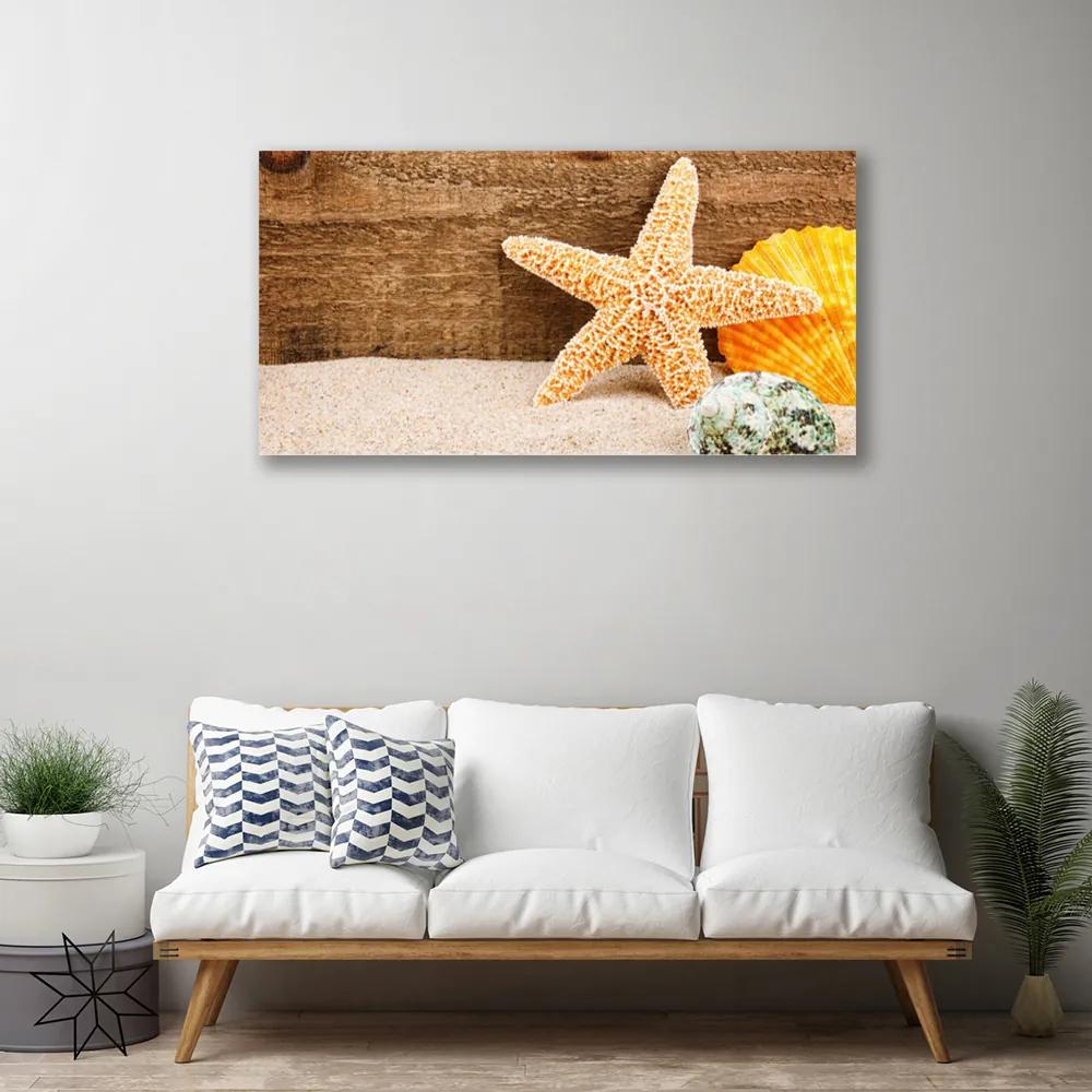 Obraz na plátně Písek Hvězdice Umění 120x60 cm