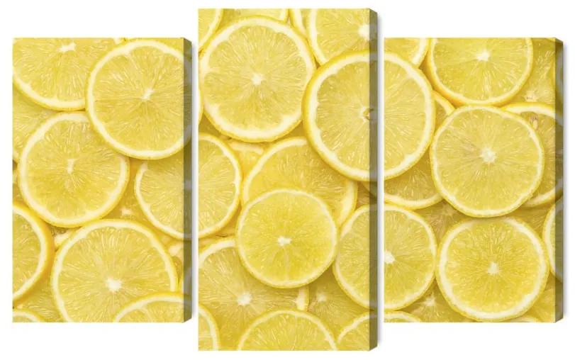 Vícedílný obraz Plátky Citronu Nedostatek Nedostatek Přírodní plátno 90x60